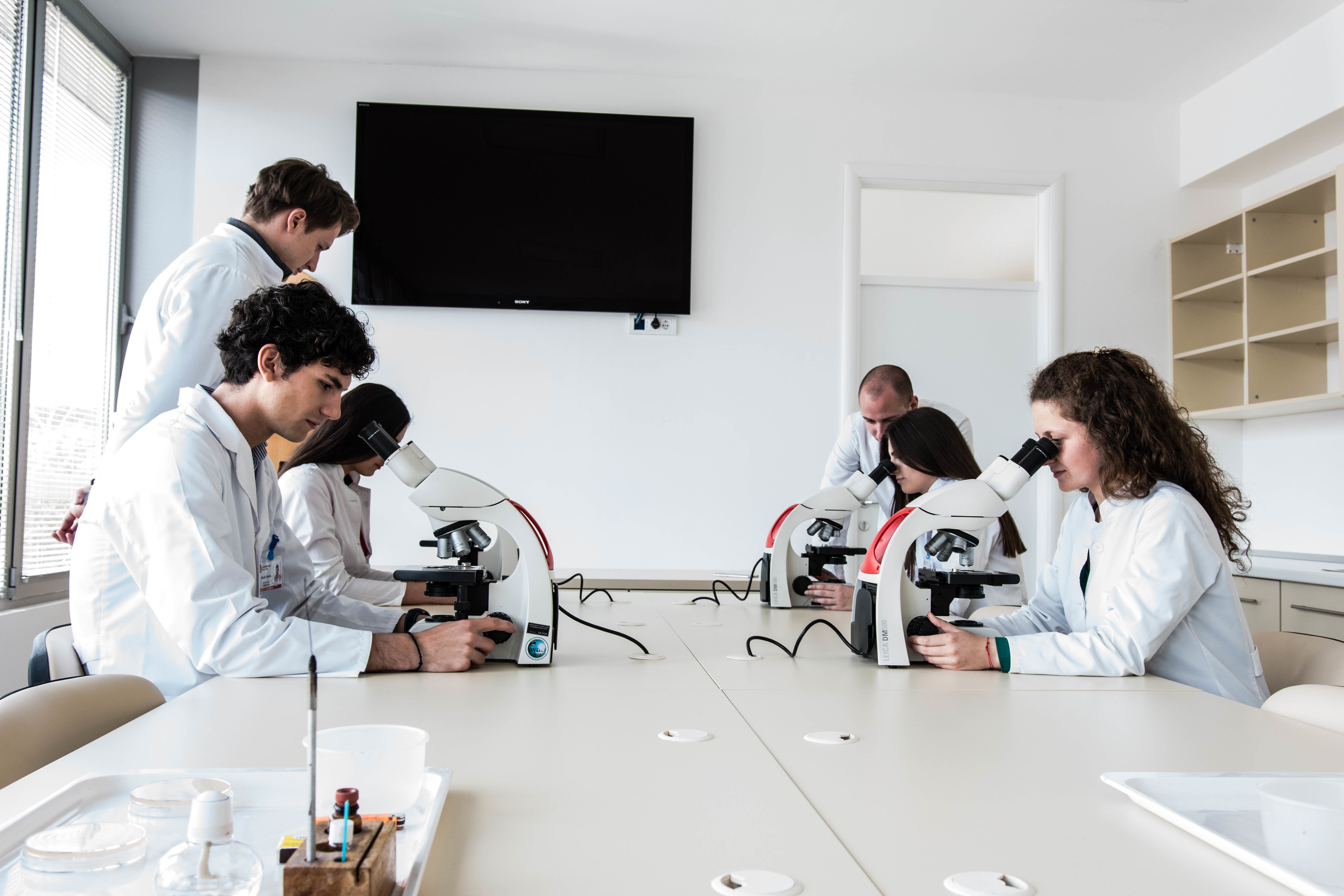 Faculty of Medicine | UNIBL